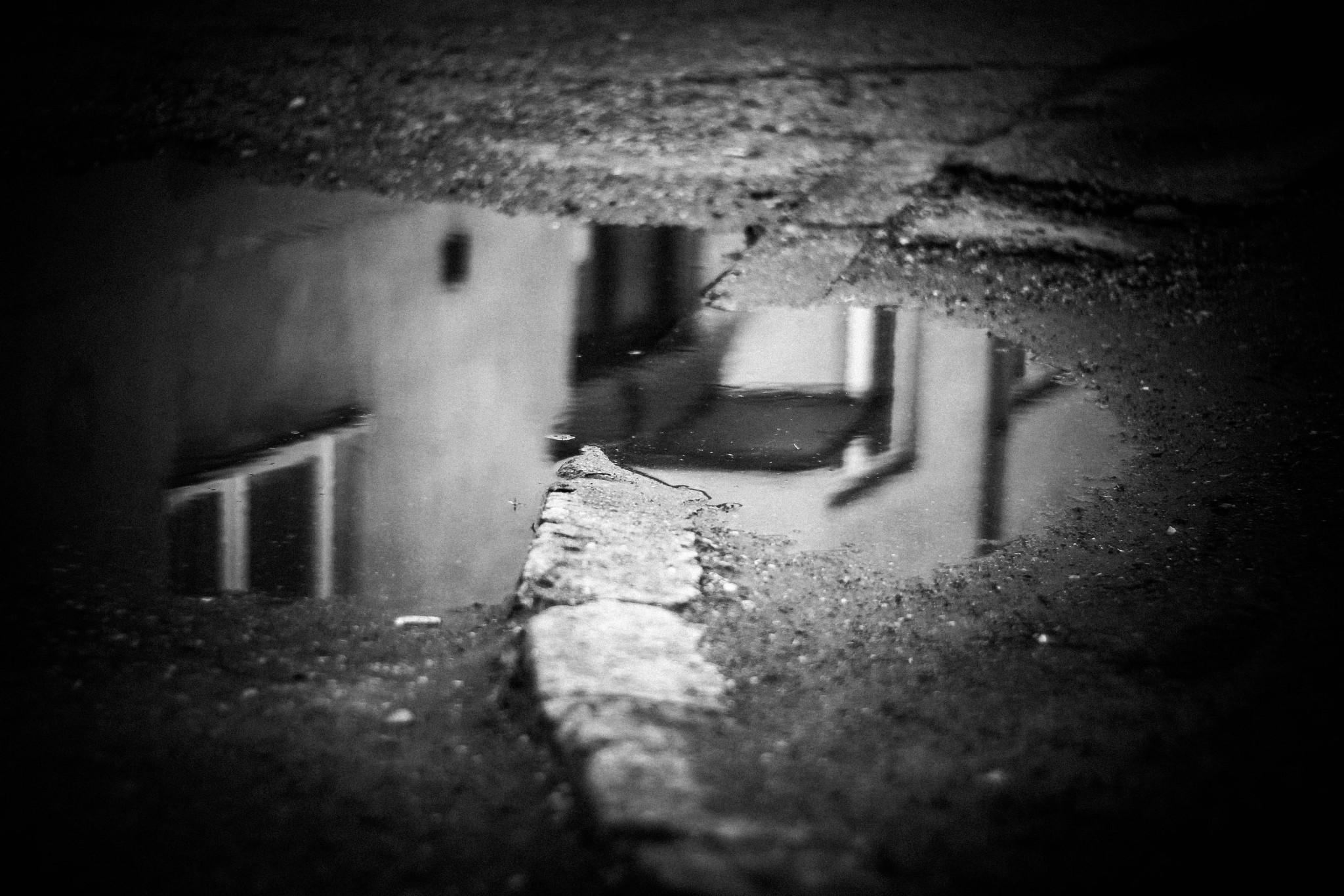 mláka 2 - Galéria | Fotoma.sk